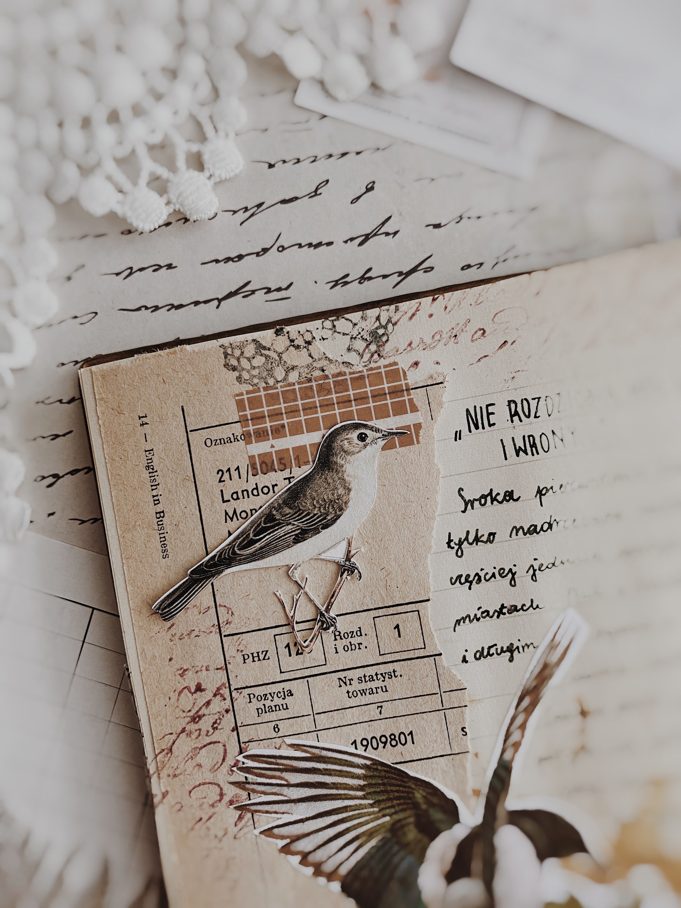 Printable A4 8.5x11 Birds Digital Instant Download | Etsy