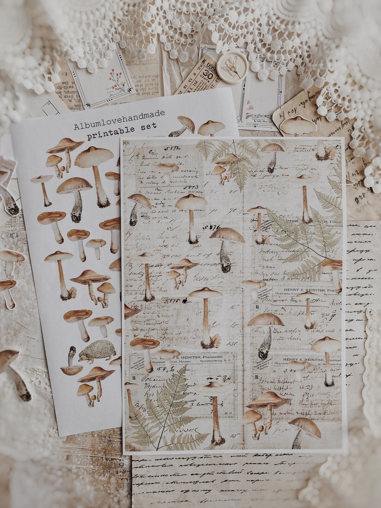 Printable A4 8.5x11 Mushrooms Forest Theme Digital - Etsy