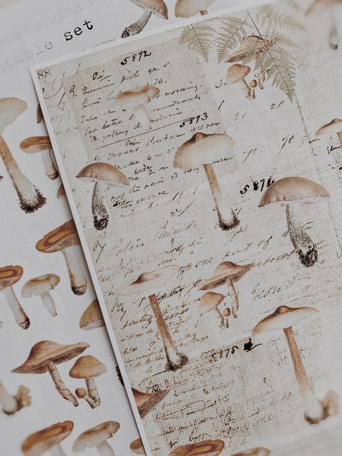 Printable A4 8.5x11 Mushrooms Forest Theme Digital - Etsy