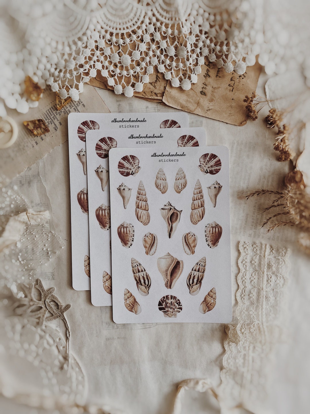 Shells Stickers | Sea Shells | Sea Theme Stickers | Summer Stickers ...