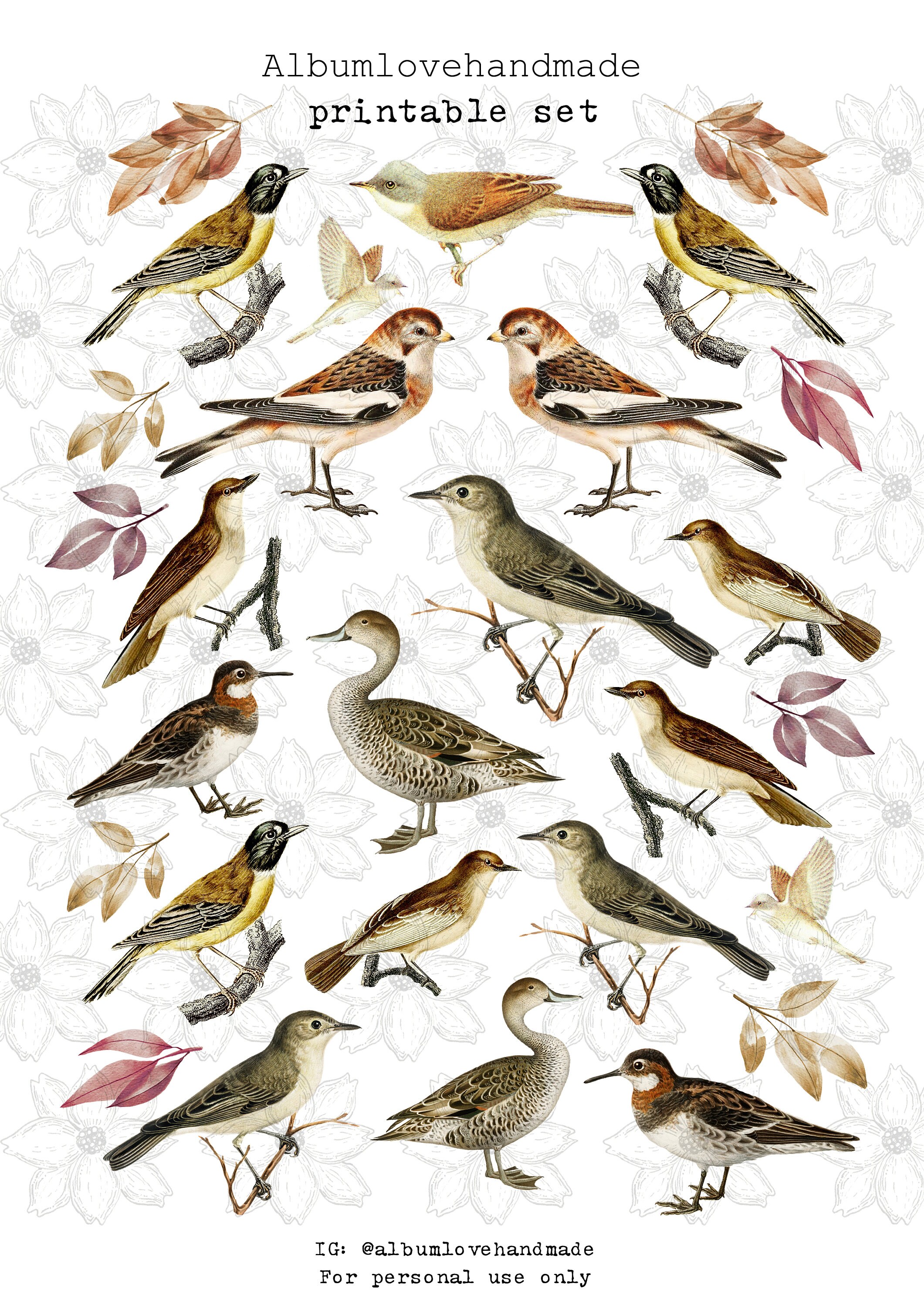 Printable A4 8.5x11 Birds Digital Instant Download | Etsy