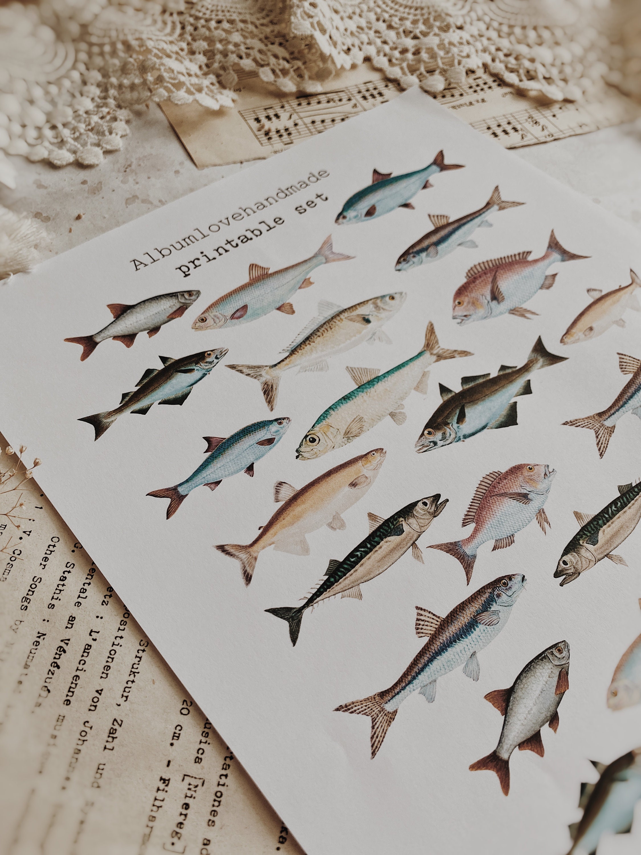 Printable | A4, 8.5x11 | Fish | Sea Theme | Collage Elements | Digital ...
