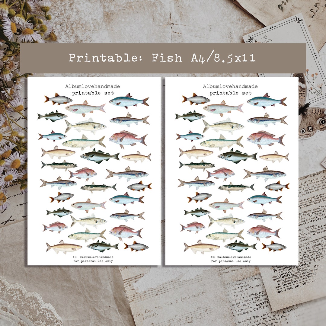 Printable | A4, 8.5x11 | Fish | Sea Theme | Collage Elements | Digital ...