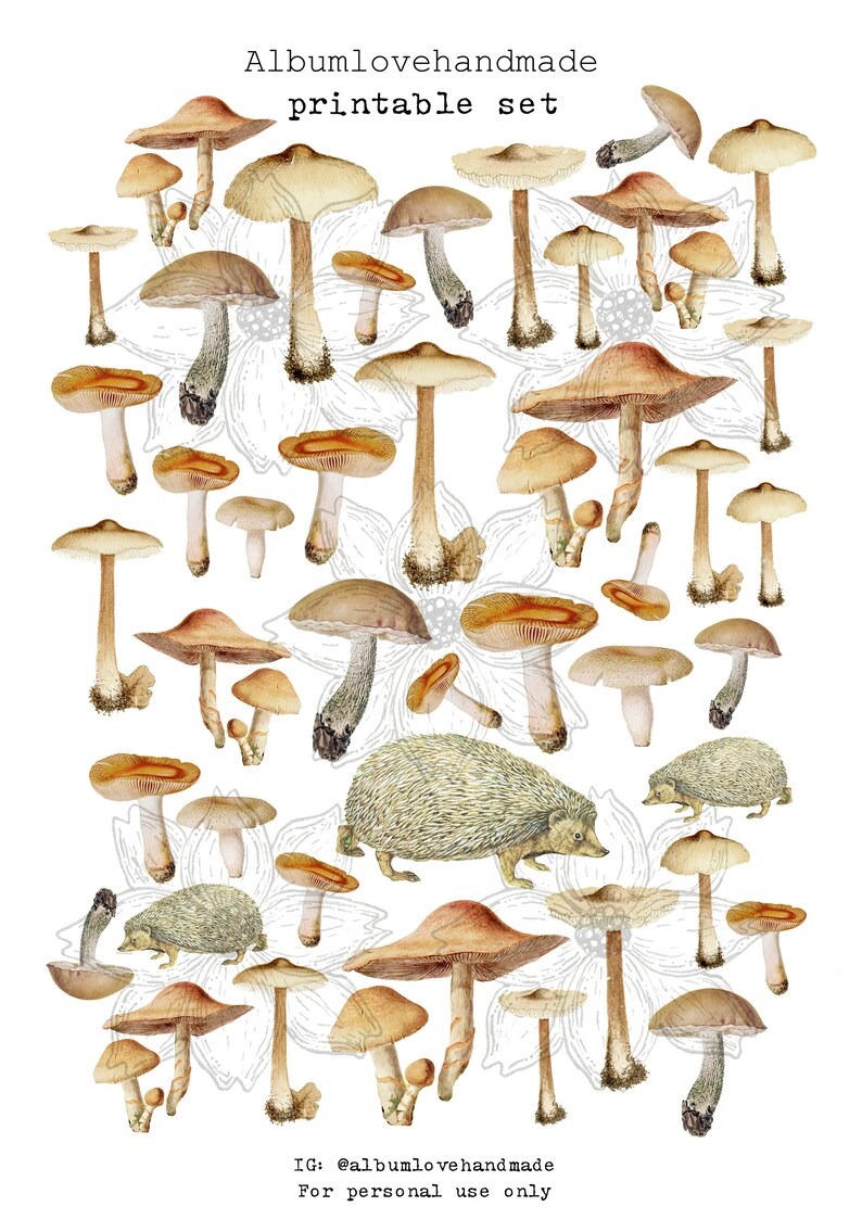 Printable A4 8.5x11 Mushrooms Forest Theme Digital - Etsy