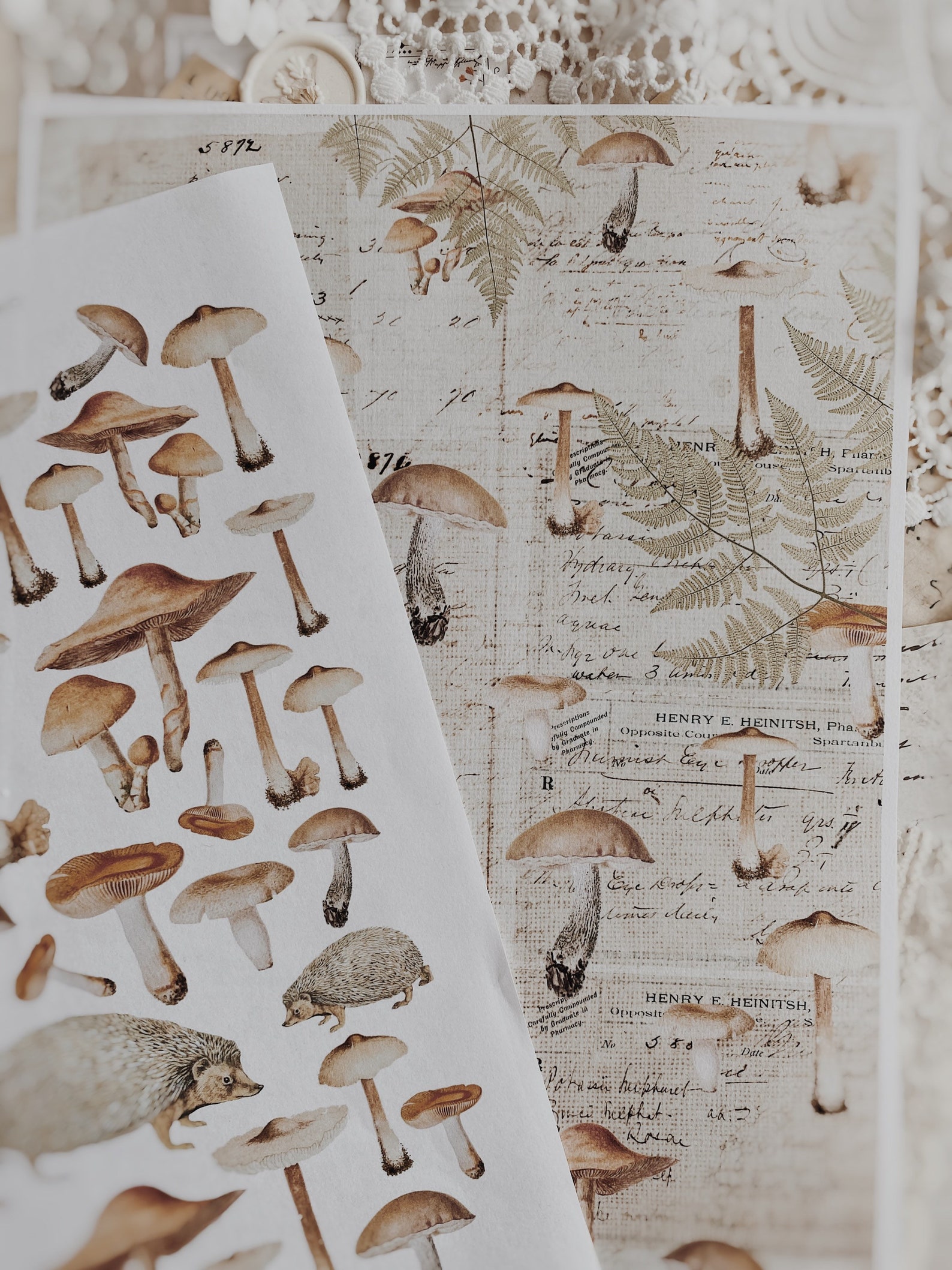 Printable A4 8.5x11 Mushrooms Forest Theme Digital - Etsy