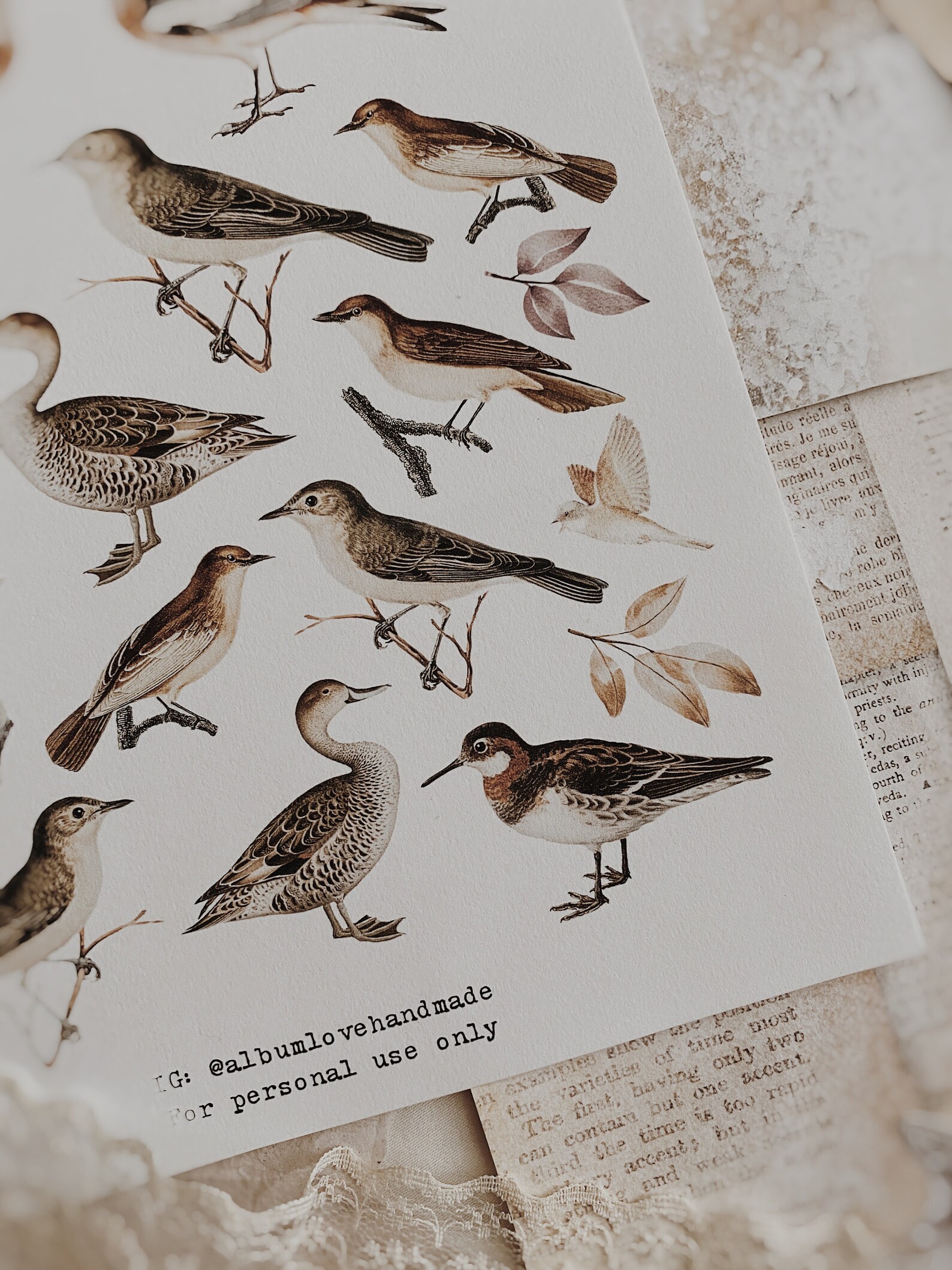 Printable A4 8.5x11 Birds Digital Instant Download | Etsy