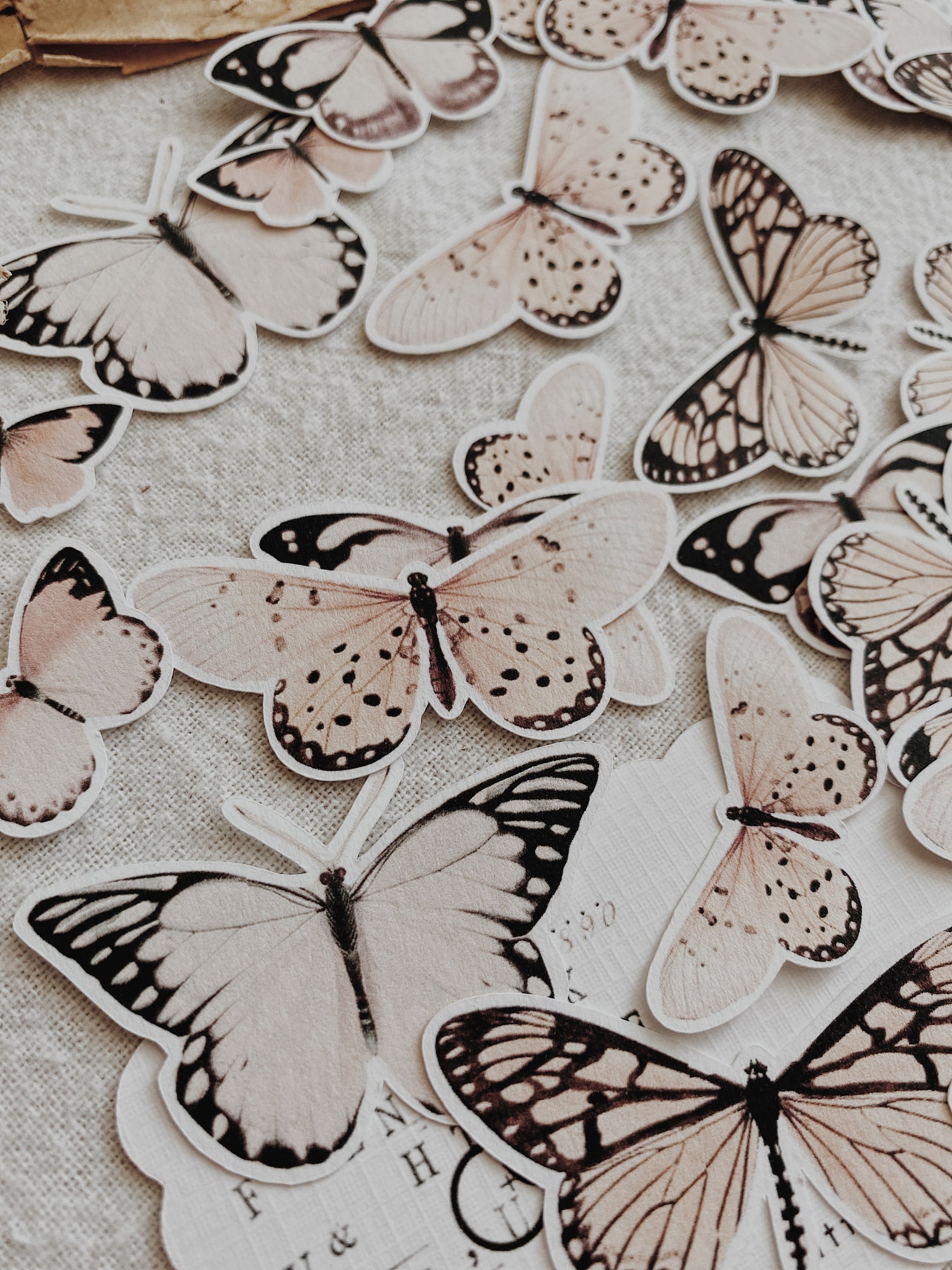 Printable A4, 8.5x11 Butterflies Ver.03 Printable Stickers Digital ...