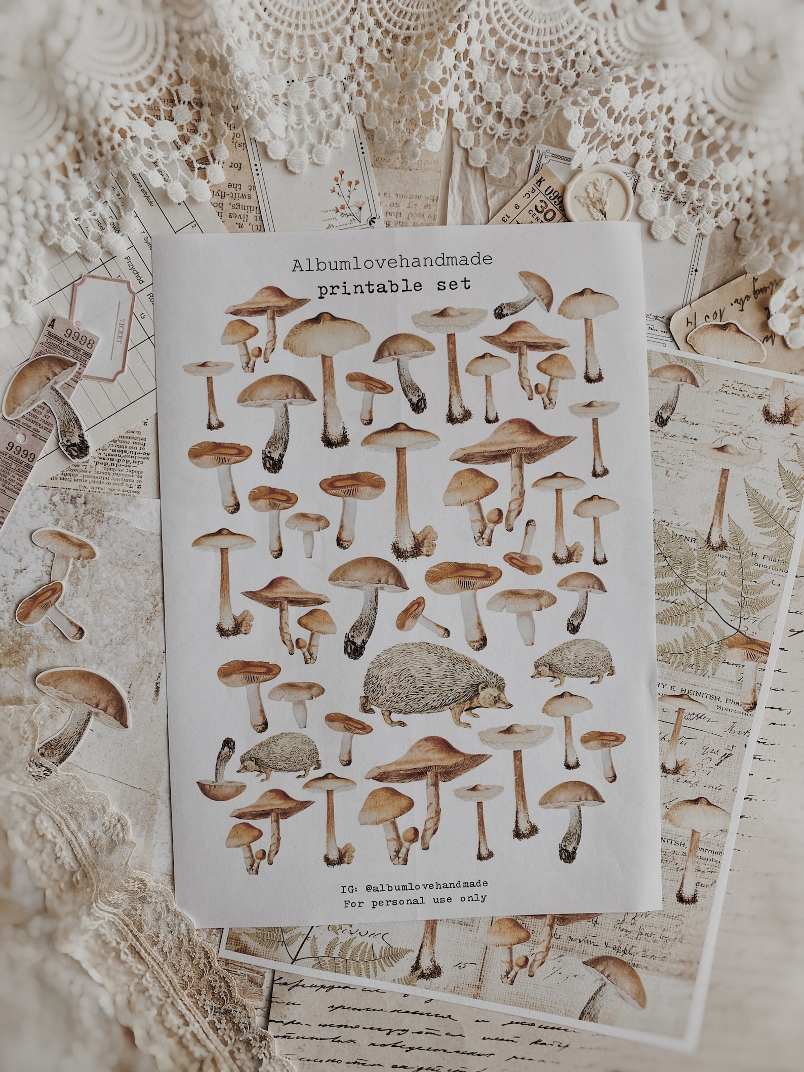 Printable A4 8.5x11 Mushrooms Forest Theme Digital - Etsy