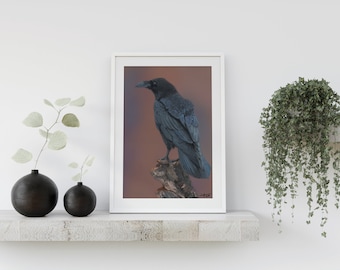 A4 Ink & Watercolour Signed Print of a Crow. Art Illustration Print ...