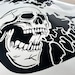 4runner Window Decal - Nightmare Skull Graphics - Fits Toyota 4runner ...