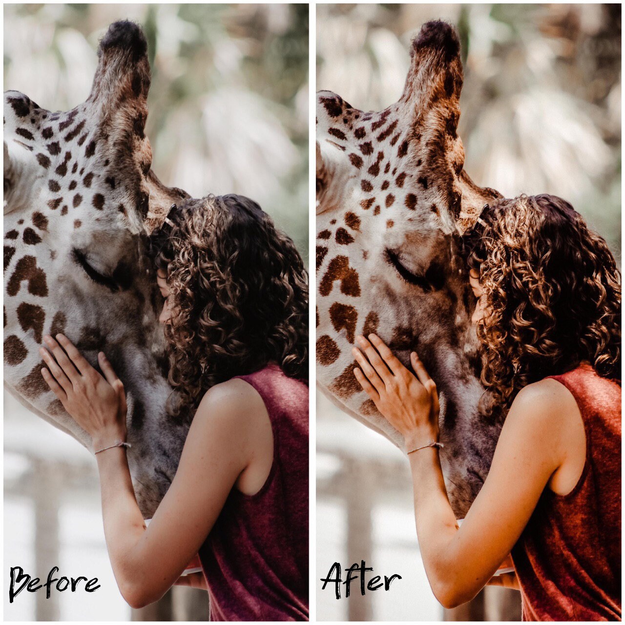 10 Safari Mobile Desktop Presets Warm Brown Filters Lightroom - Etsy