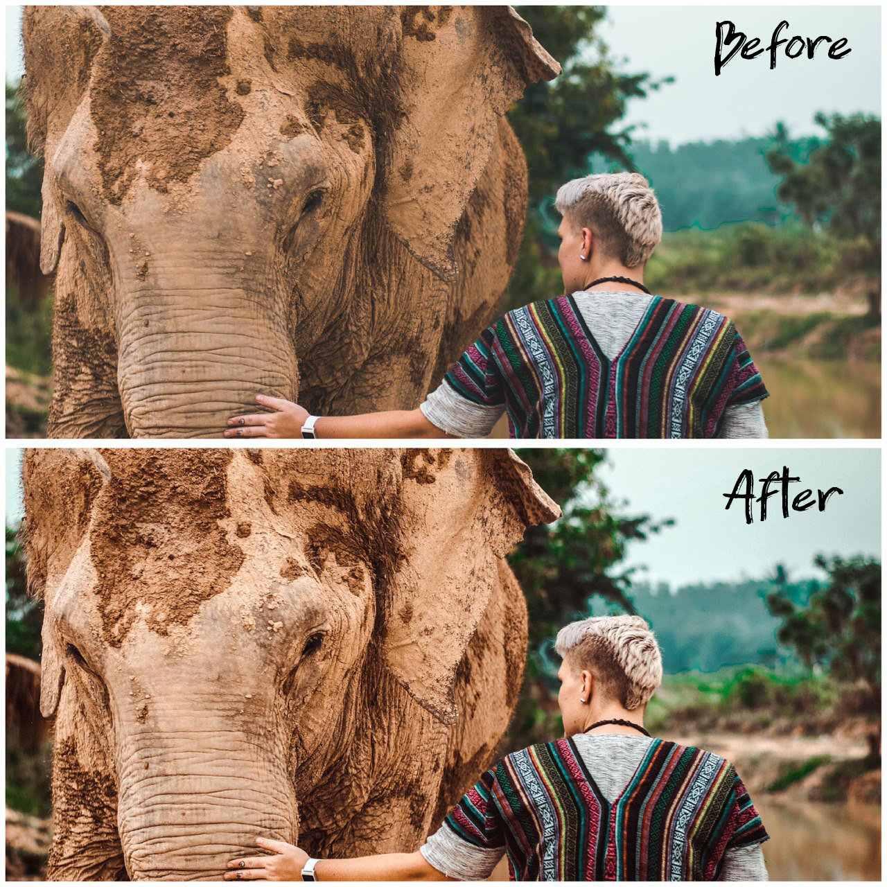 10 Safari Mobile Desktop Presets Warm Brown Filters Lightroom - Etsy