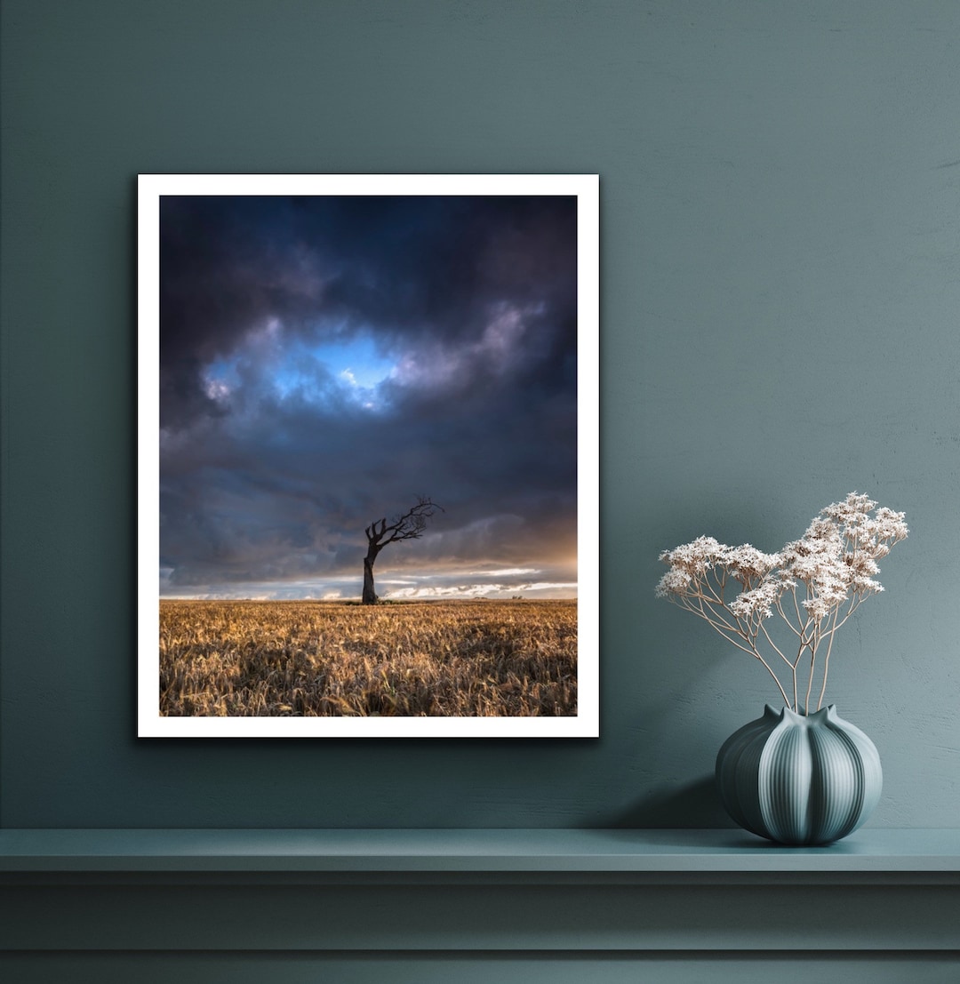 Rihanna Tree, Northern Ireland, Fine Art Print, Landscape Photography ...