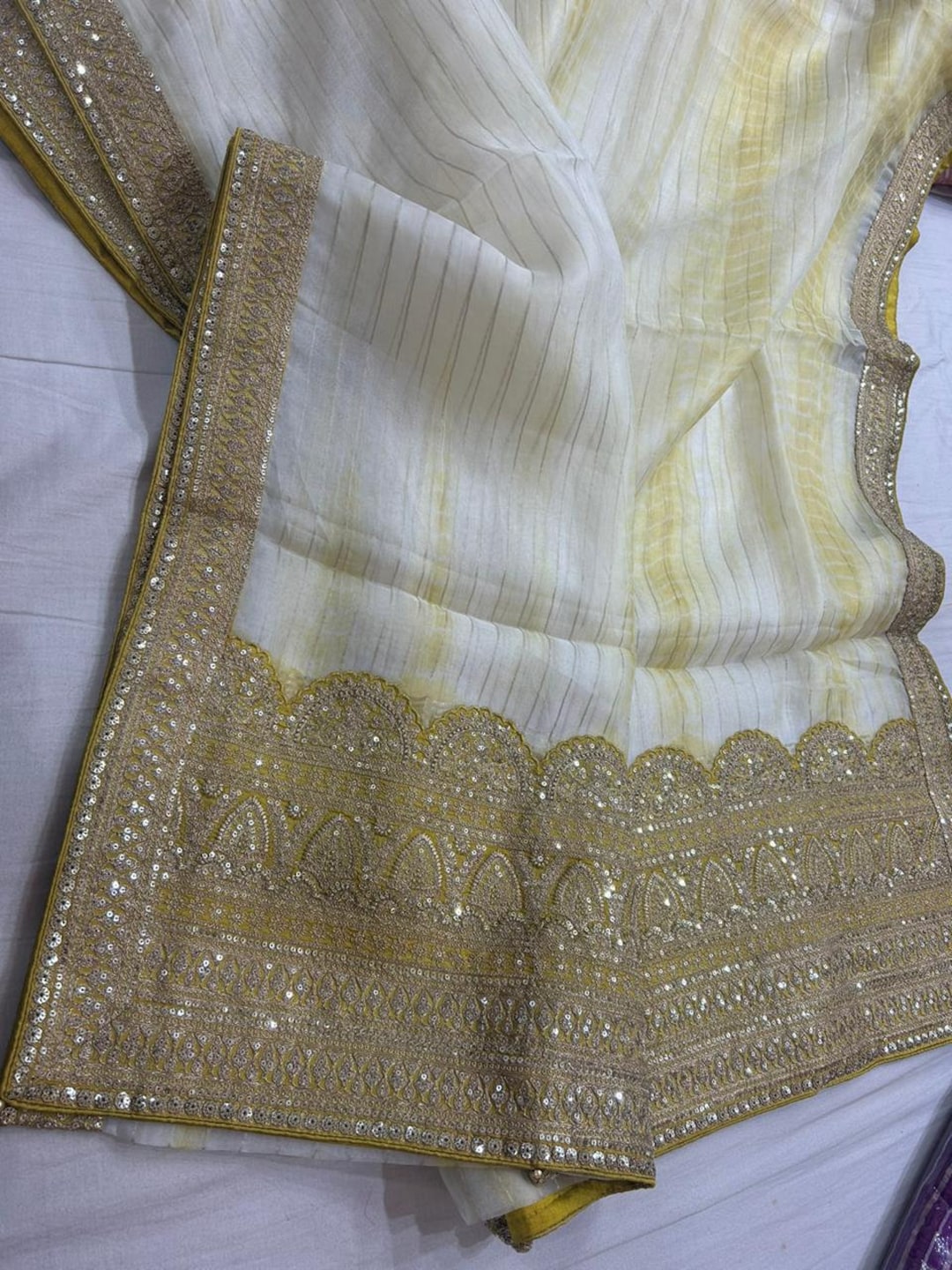 Pure Organza Saree With Sabya Sachi Border. - Etsy