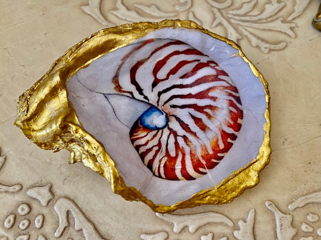 Large Red Nautilus Themed Oyster Shell Ring Dish, Jewelry Holder ...