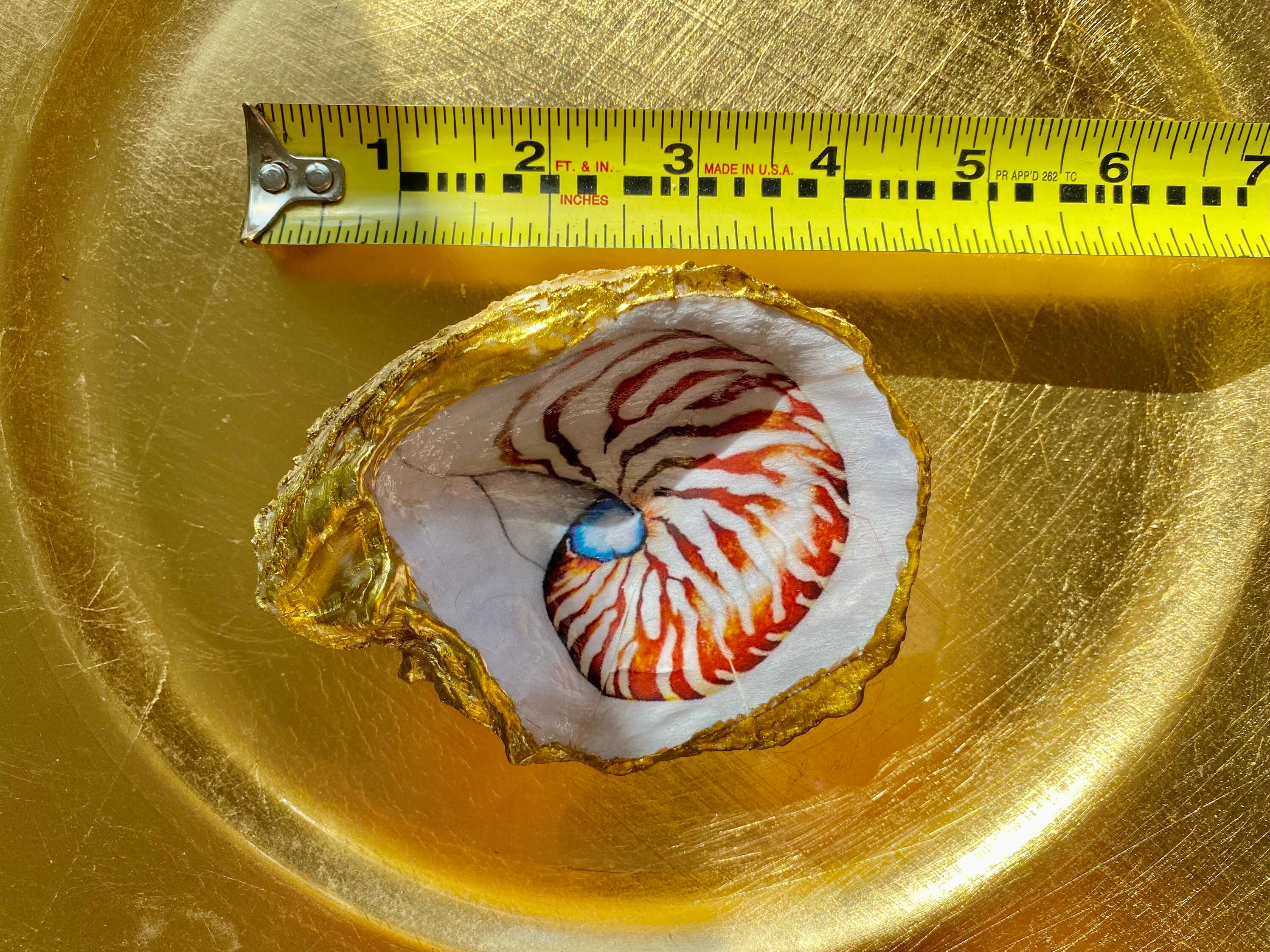 Large Red Nautilus Themed Oyster Shell Ring Dish, Jewelry Holder ...
