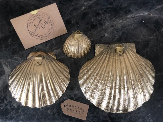 Medieval Cockle Shells