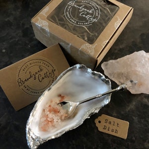 Single Silver Oyster Shell Salt Dish With Spoon | Salt Pinch Pot Cruet ...