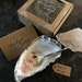 Single Silver Oyster Shell Salt Dish With Spoon | Salt Pinch Pot Cruet ...