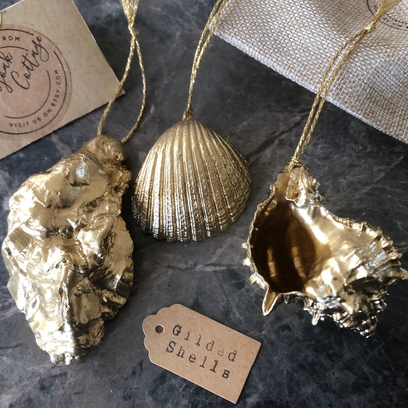 Clam Shell Prop - Etsy