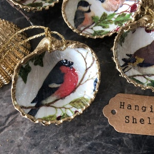 Garden Birds Cockle Shell Ornaments, Robin Christmas Decorations ...