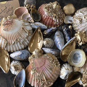 Gold Shell Decor 30 X Gilded Shells Coastal Decor Bulk Pack, Beach ...