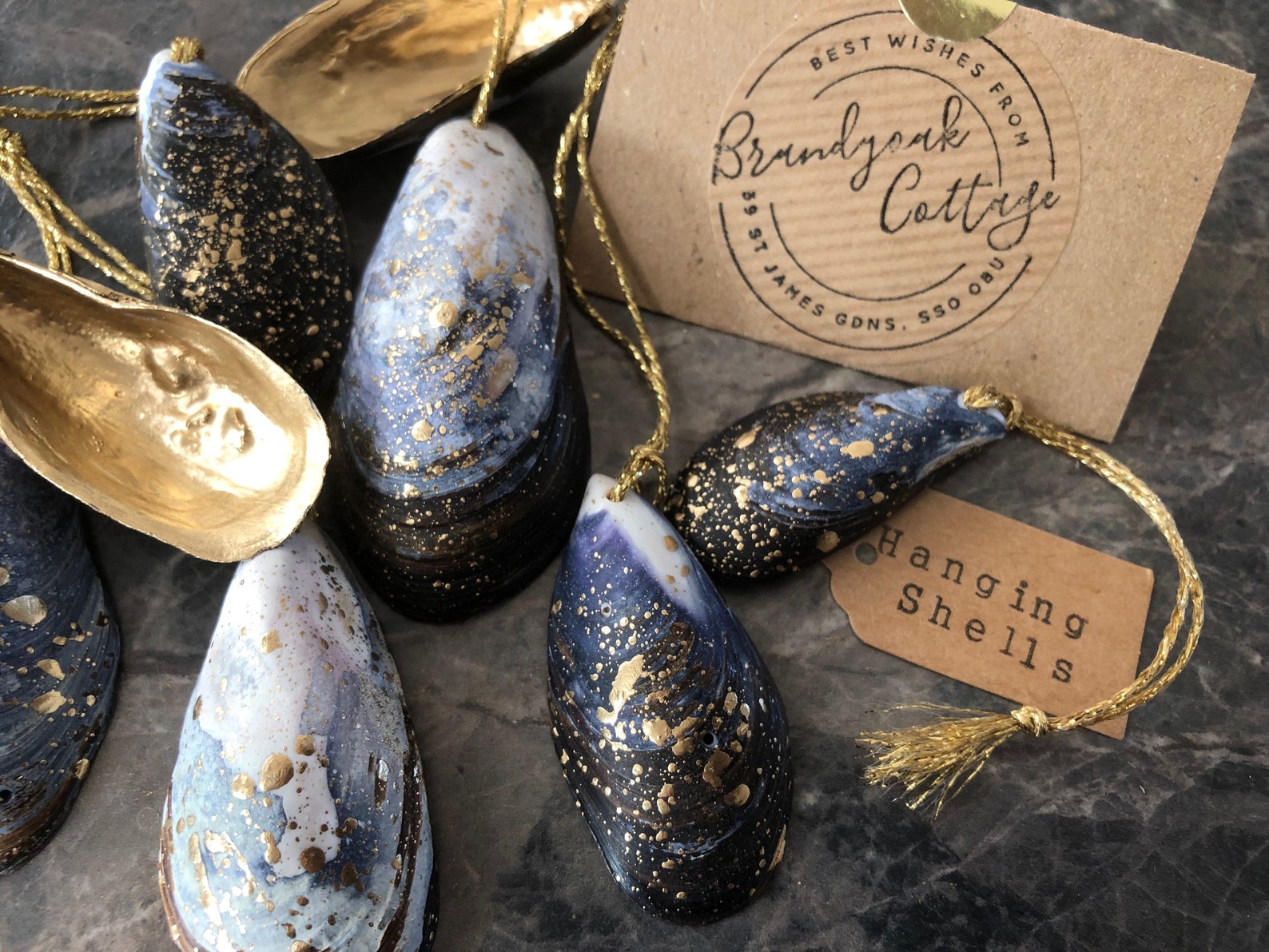 Gilded Mussel Shell Seashell Ornaments, Shell Christmas Decorations ...