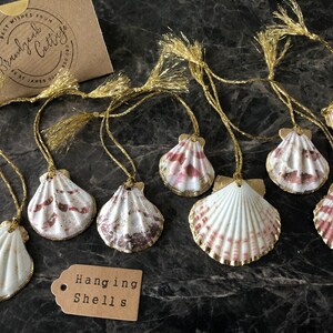 Sea Shell Christmas Decorations, Shell Ornaments | Gold Edged Pink ...