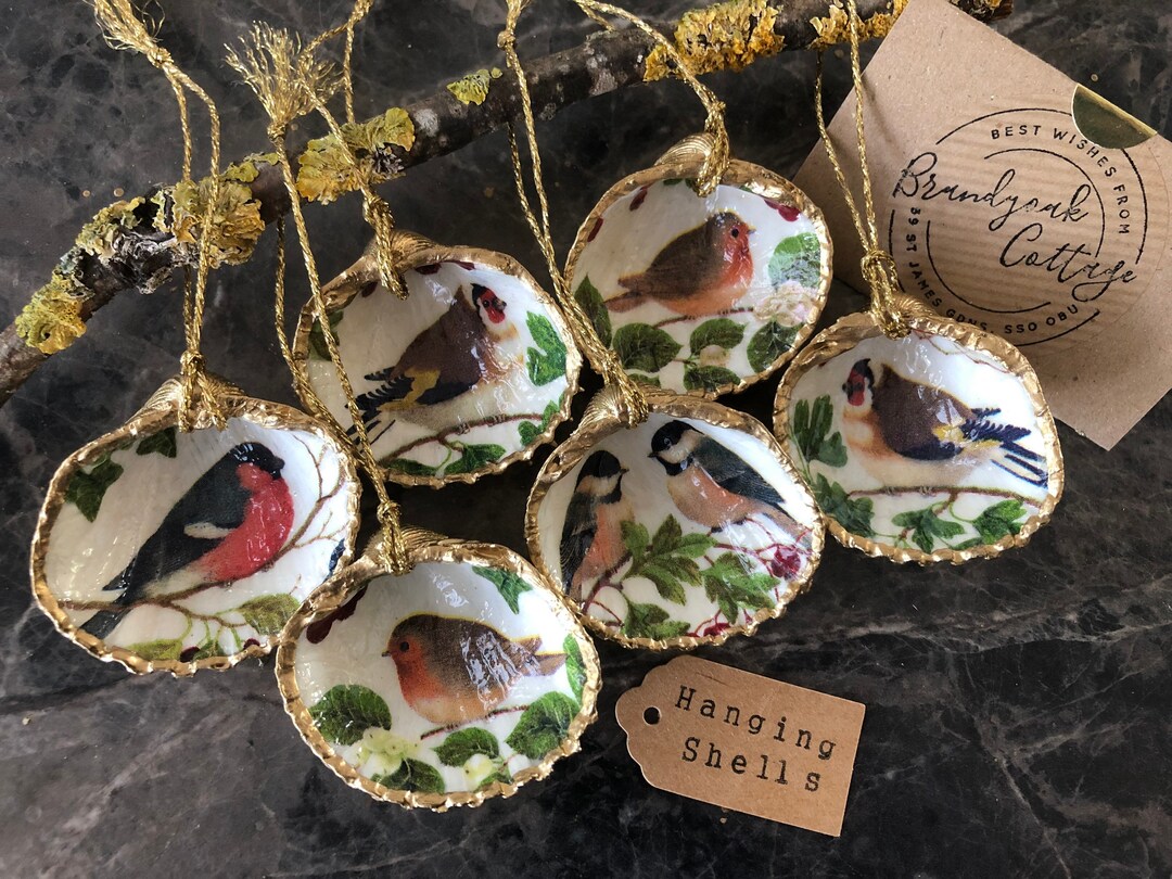 Garden Birds Cockle Shell Ornaments, Robin Christmas Decorations ...