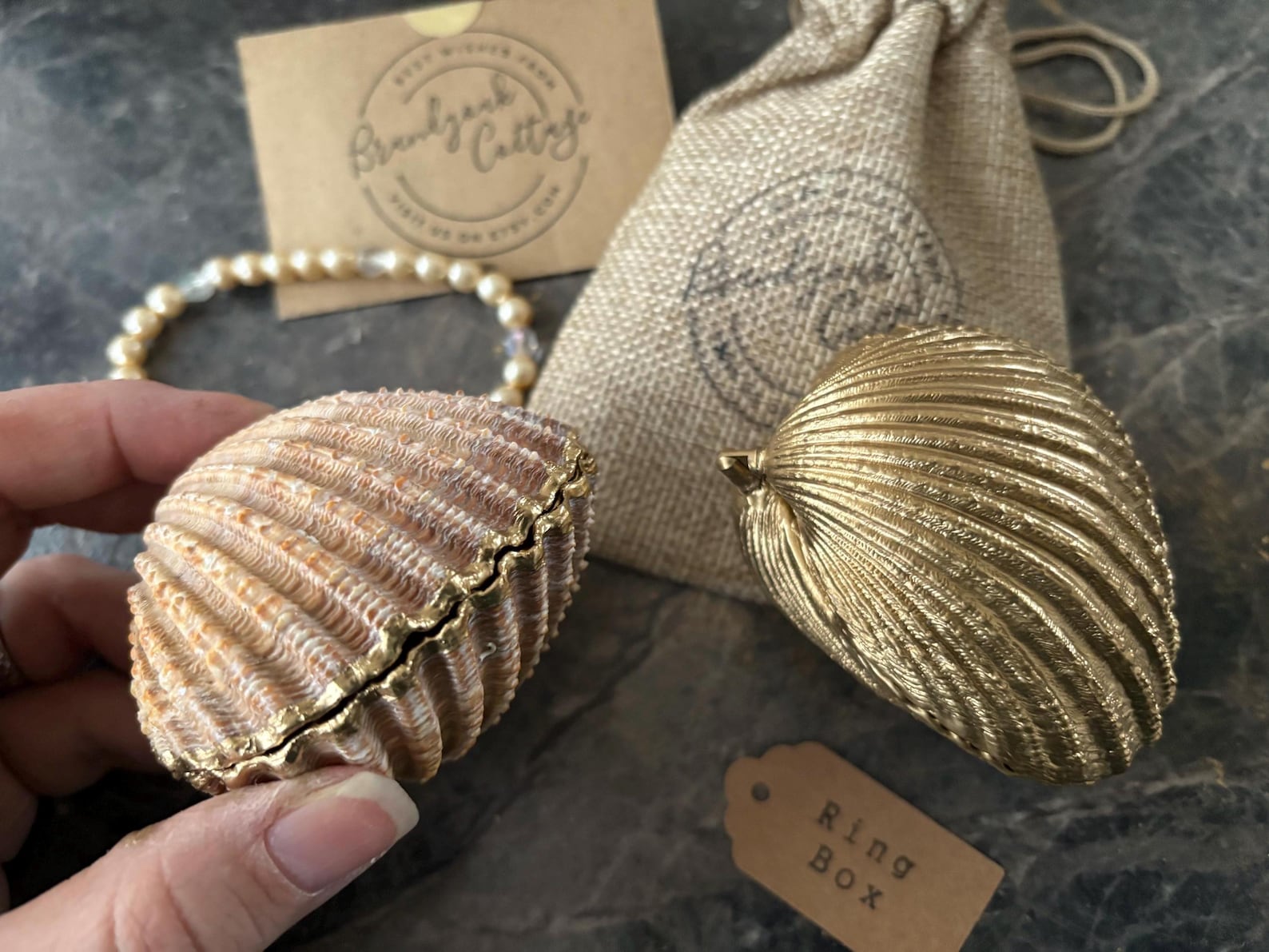 Ready Made: Hinged Sea Shell Ring Box in Choice of Spatter Design or ...