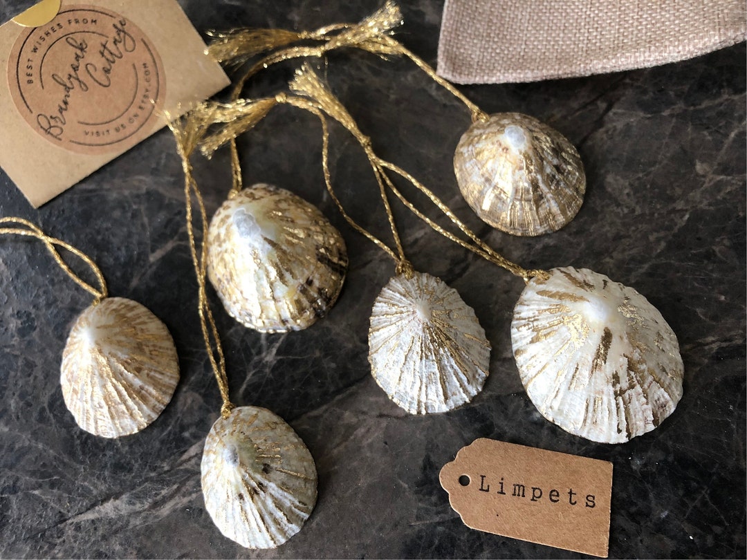 Gilded Limpet Hanging Shell Decorations, Beach Wedding Coastal Decor ...
