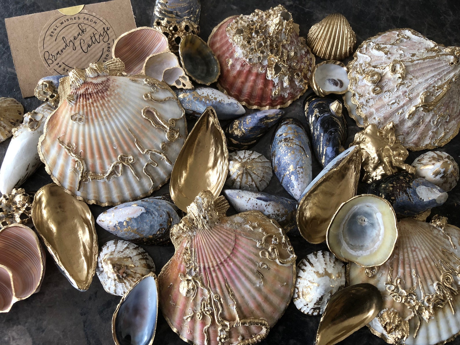Hanging Shells Gilded Scallop Decorations Barnacle Shell - Etsy