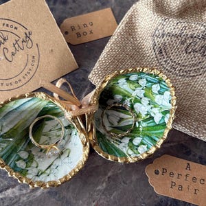Cockle Shell Ring Box With Ribbon Hinge White Green Lily Valley ...