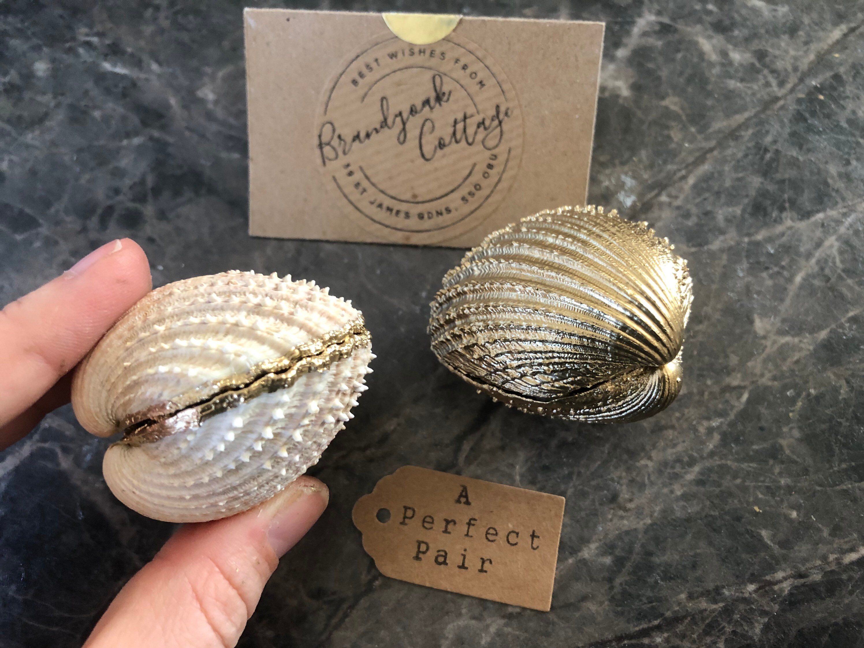 Lily of the Valley Spiny Cockle Shell Ring Dish Ring Holder - Etsy