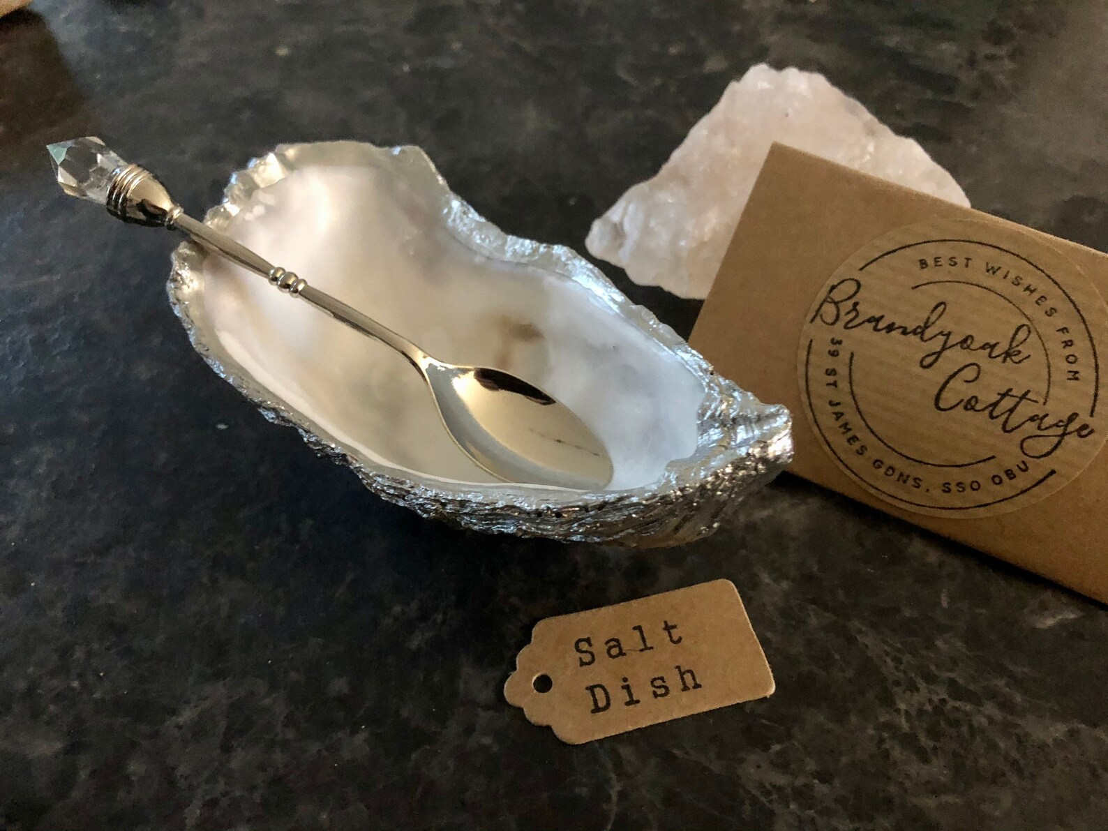 Single Silver Oyster Shell Salt Dish with Spoon Salt Pinch | Etsy