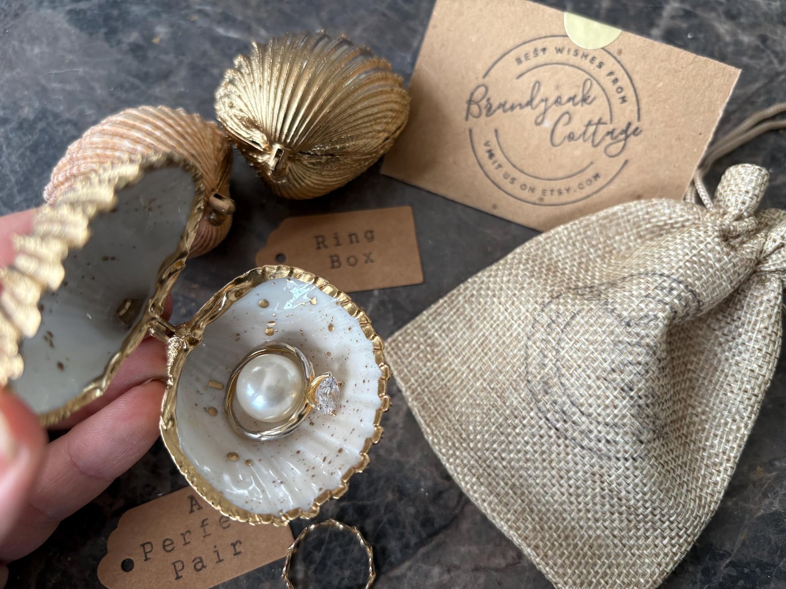 Ready Made: Hinged Sea Shell Ring Box in Choice of Spatter Design or ...