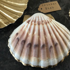 Gold Scallop Shell Trinket Dish - Standard or XL | Natural & Gold Shell ...