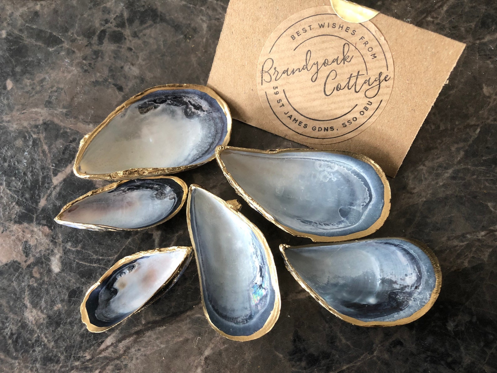 Gold Shell Decor 30 X Gilded Shells Coastal Decor Bulk Pack - Etsy