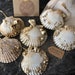 Hanging Shells Gilded Scallop Decorations Barnacle Shell - Etsy