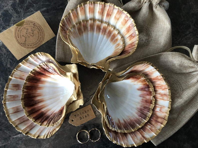 Shell Trinket Dish Gilt Edged Golden Scallop Shell Gold - Etsy