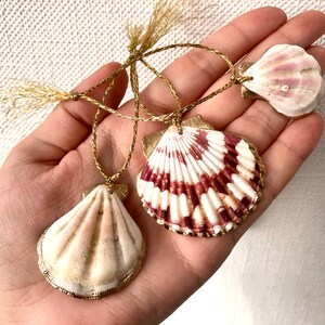 Sea Shell Christmas Decorations, Shell Ornaments | Gold Edged Pink ...