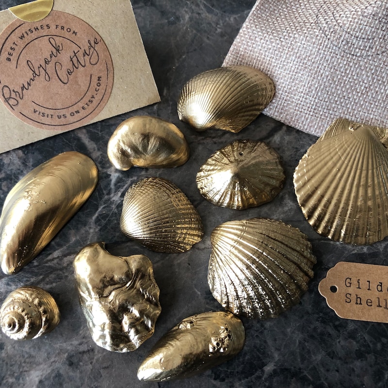 Wedding Shells - Etsy