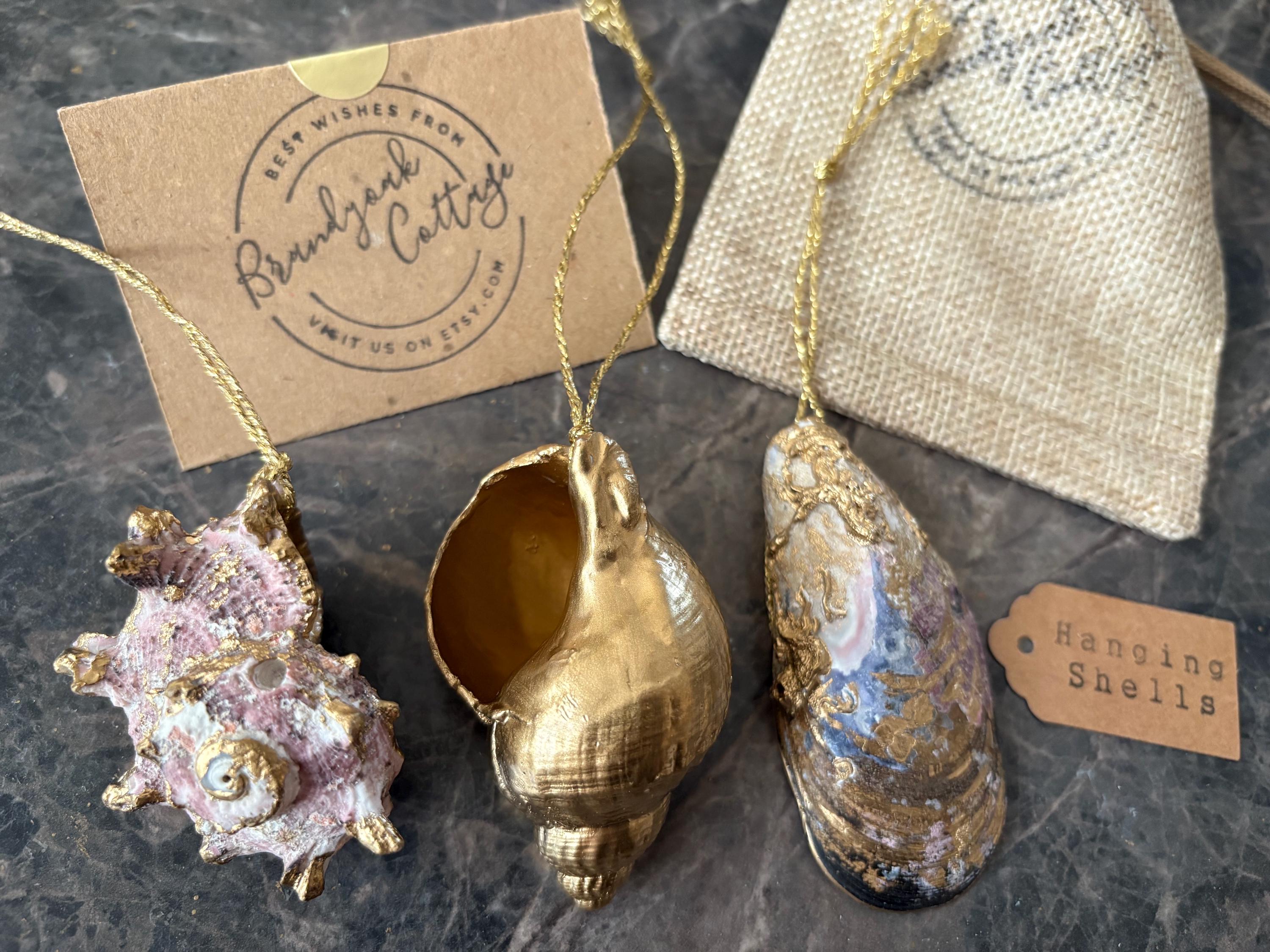 Hanging Mixed Sea Shell Decorations | Beach Coastal Decor, Xmas Shell ...