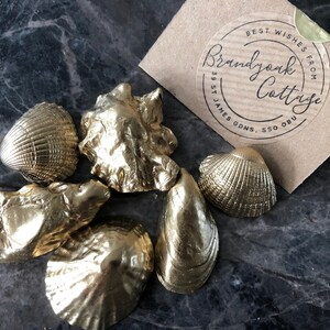 Gold Shell Decor 30 X Gilded Shells Coastal Decor Bulk Pack, Beach ...