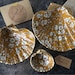 Liberty of London Decoration, Shell Wall Hanging, Shells in Capel ...