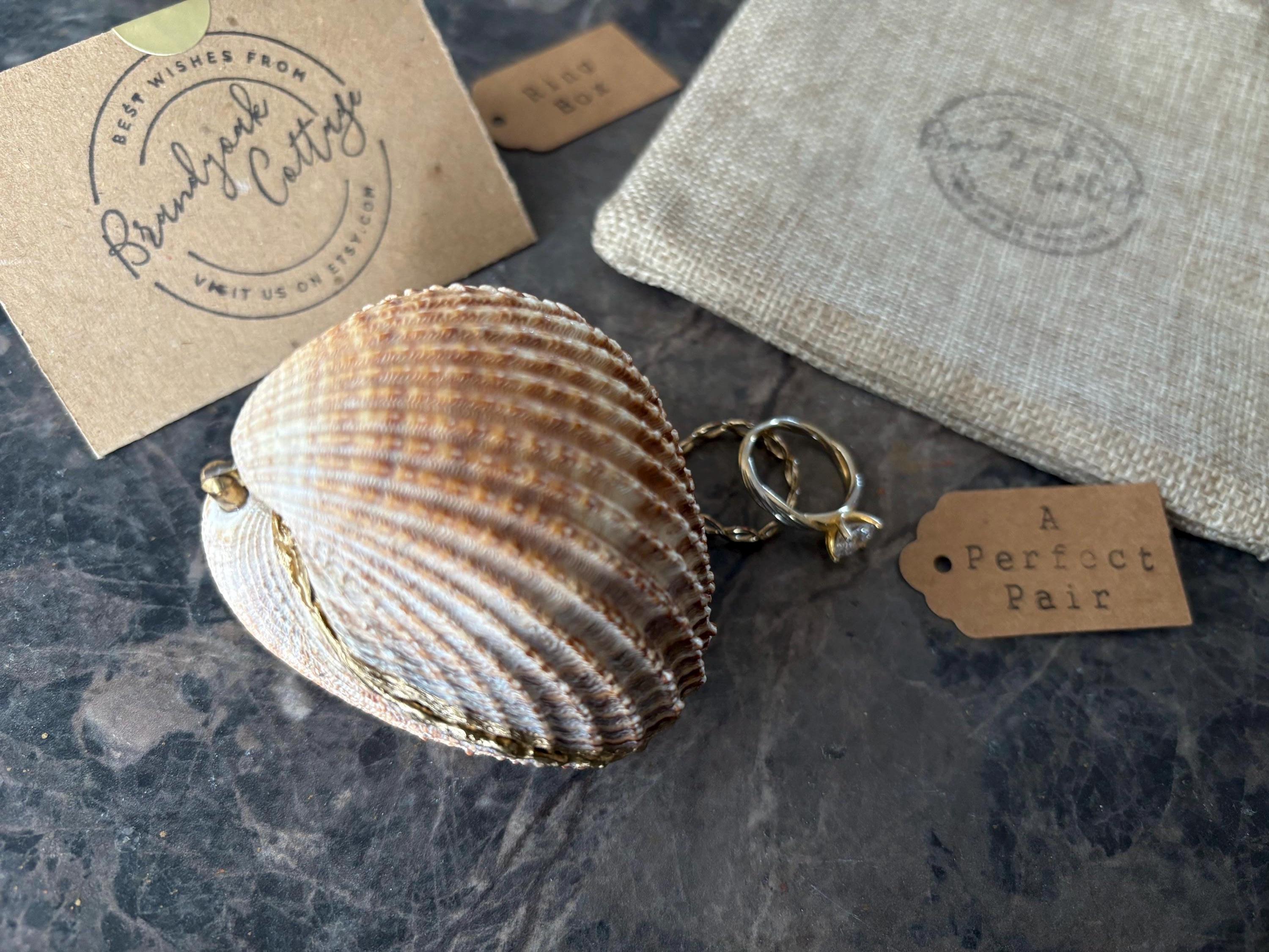 Custom Hinged Sea Shell Ring Box for Beach Proposals or Coastal ...