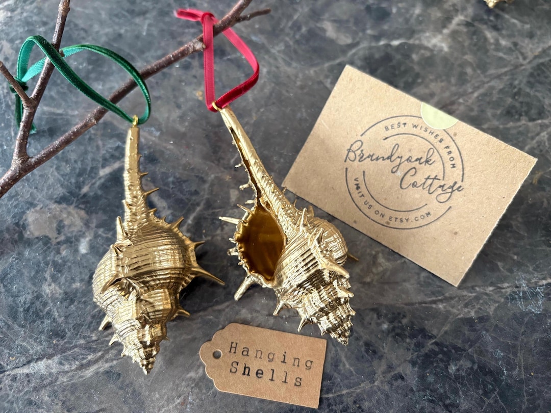 Spiny Murex Gold Shell Tree Decorations | Sea Murex Shell Beach Wedding ...