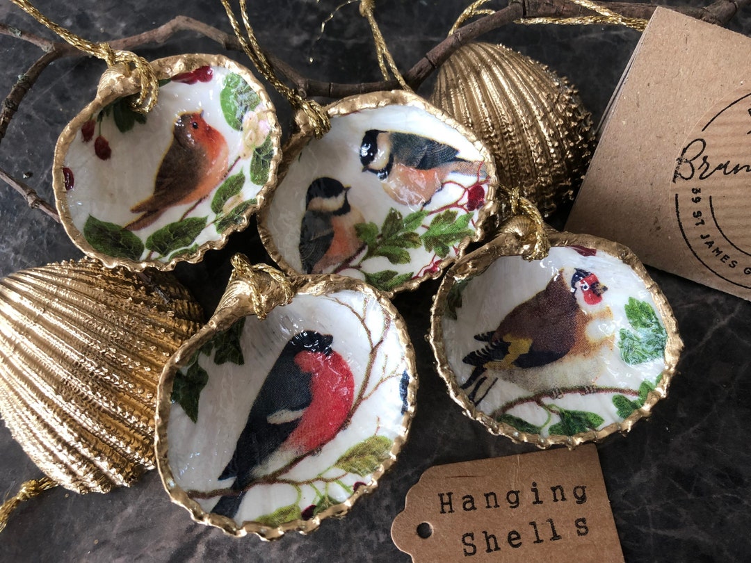 Garden Bird Decorations Cockle Shell Ornaments | Robin, Tit, Bullfinch ...