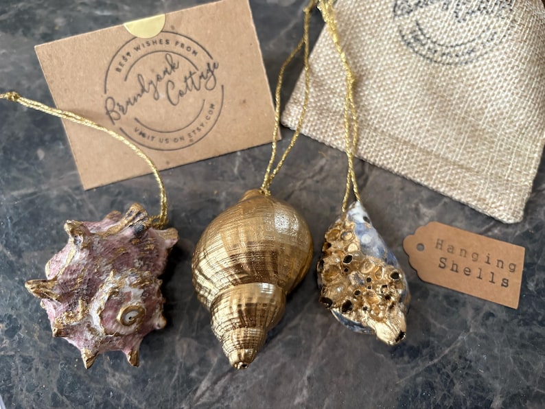 Hanging Mixed Sea Shell Decorations | Beach Coastal Decor, Xmas Shell ...