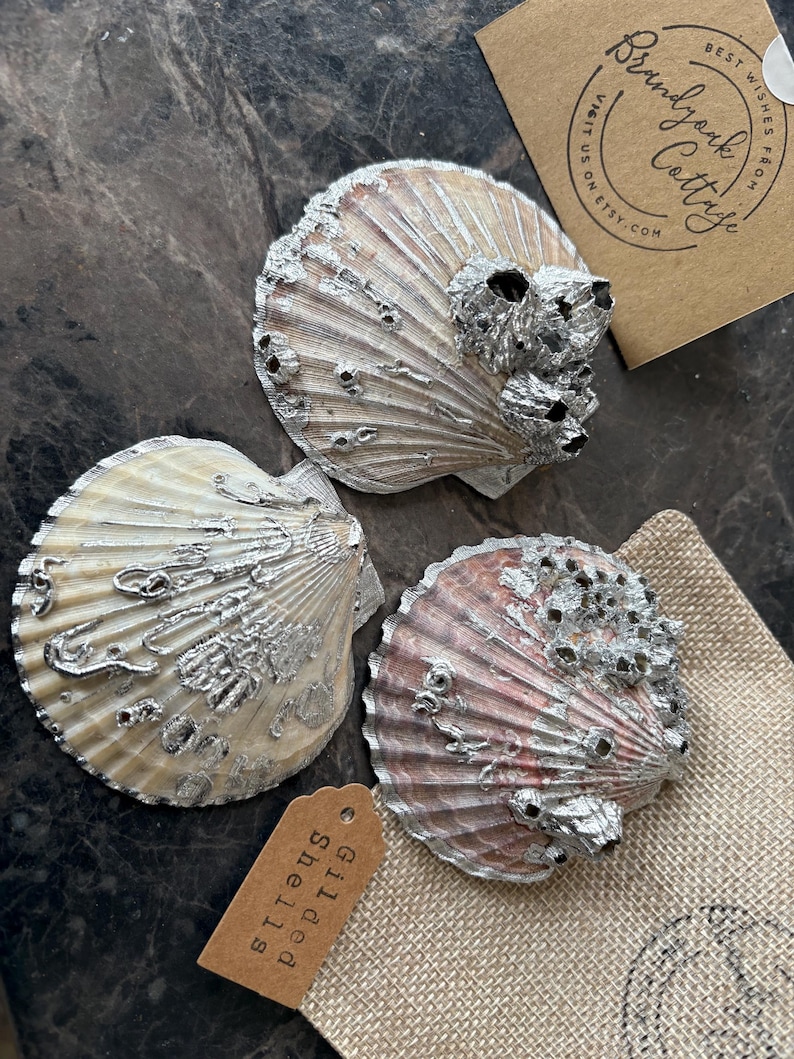 Hanging Gilded Silver Shells, Scallop Decorations, Barnacle Shell ...